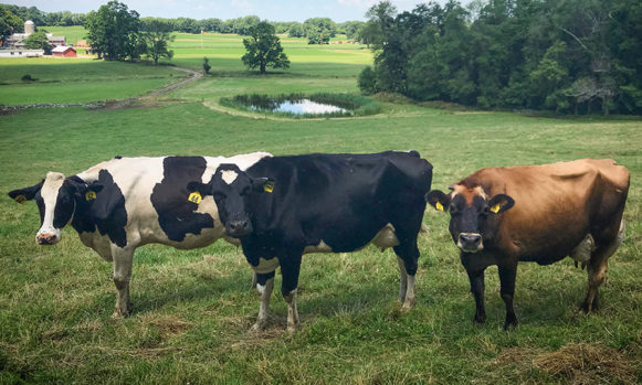 Farms – Hudson Valley Fresh Dairy